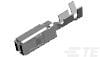 1241388-1 : AMP MCP Automotive Terminals | TE Connectivity