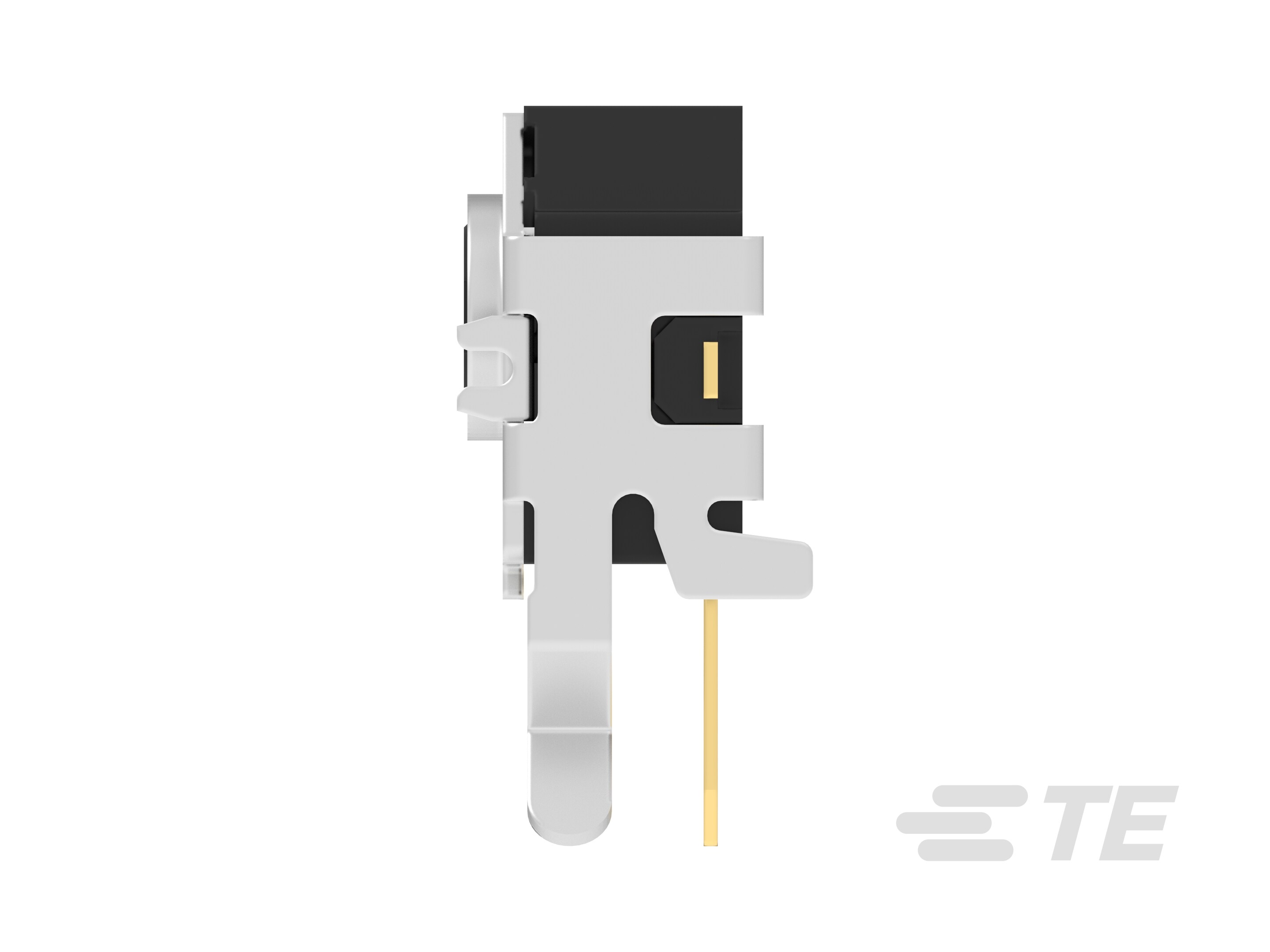 2416191-1 : ALCOSWITCH Tactile Switches | TE Connectivity