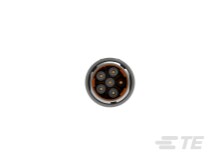 BKUA186MR21420200000 : Standard Circular Connectors | TE Connectivity