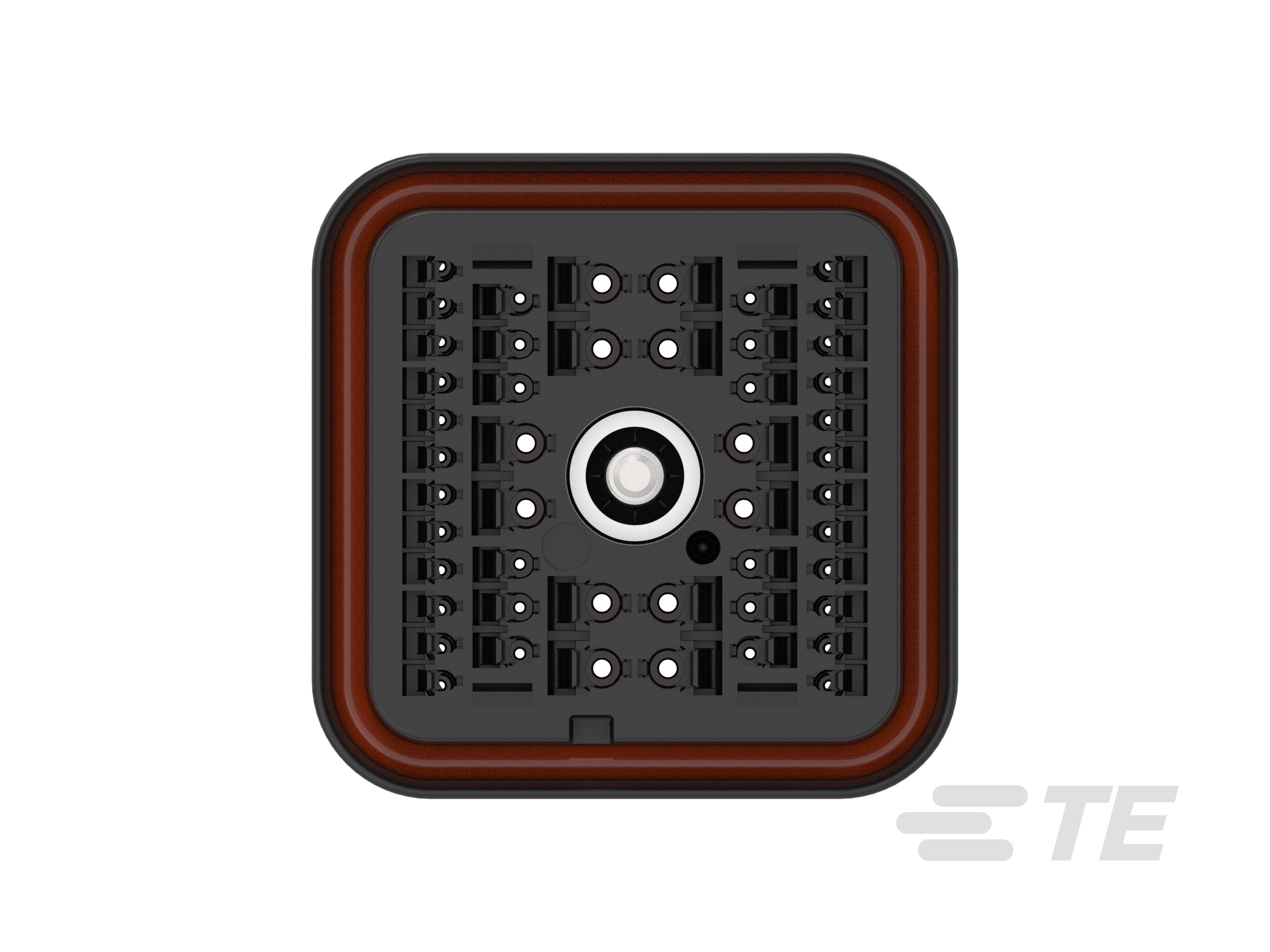 DRB16-48SBE-L018 : DEUTSCH Automotive Housings | TE Connectivity