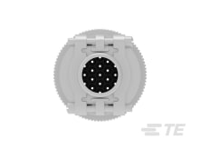 HD36-24-31PE-L006 : DEUTSCH Automotive Housings | TE Connectivity