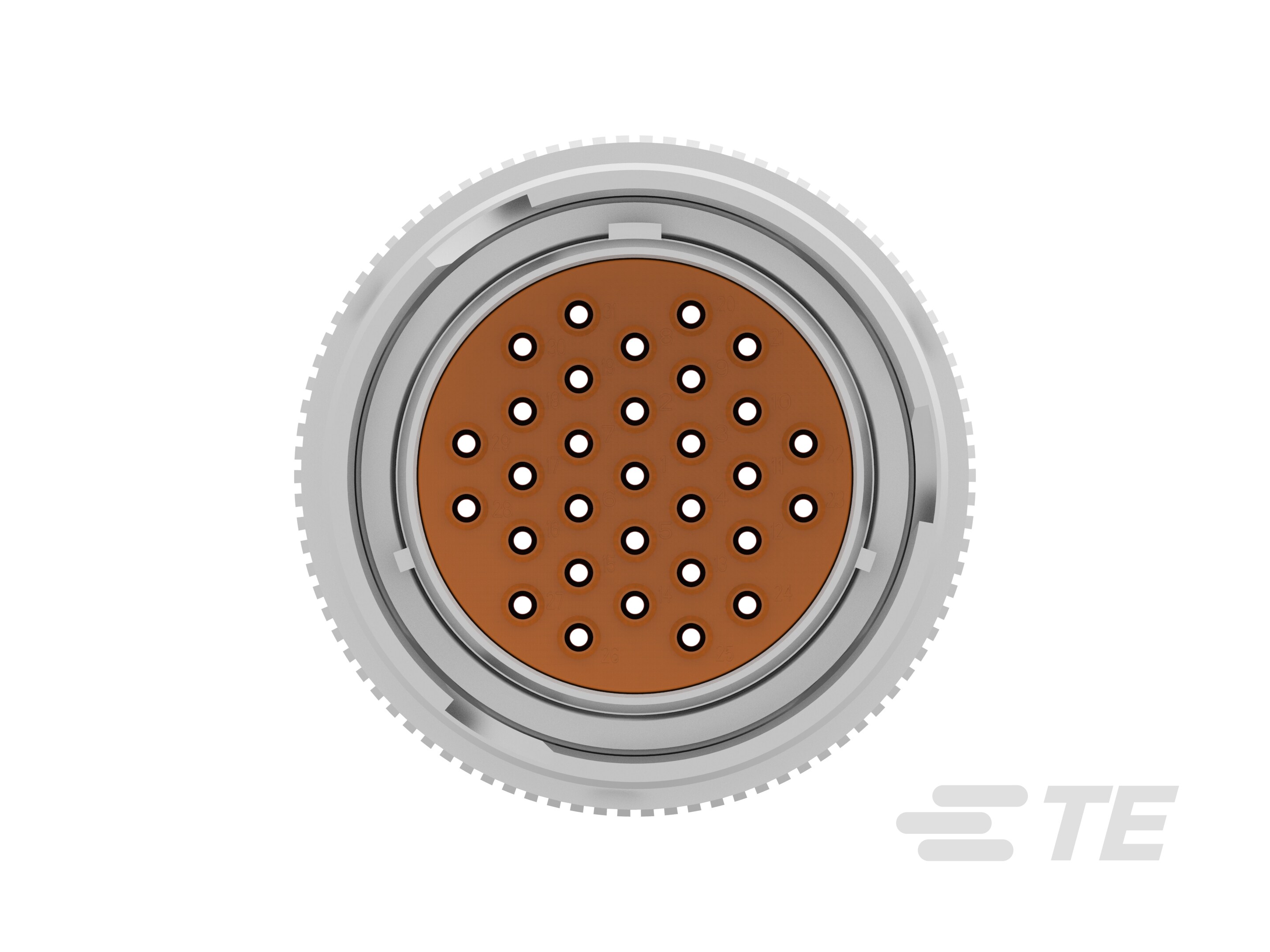HD36-24-31PT : DEUTSCH Automotive Housings | TE Connectivity