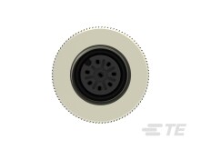 T4110002081-000 : M12 Connector Standard Circular Connectors | TE ...