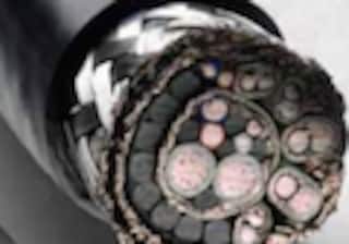 Explore our custom made multicore cables | TE Connectivity