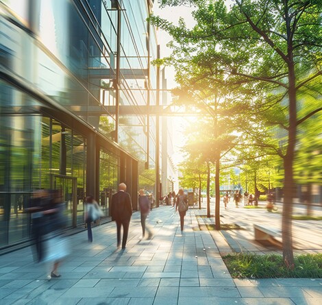 The Path Forward & Executive Summary