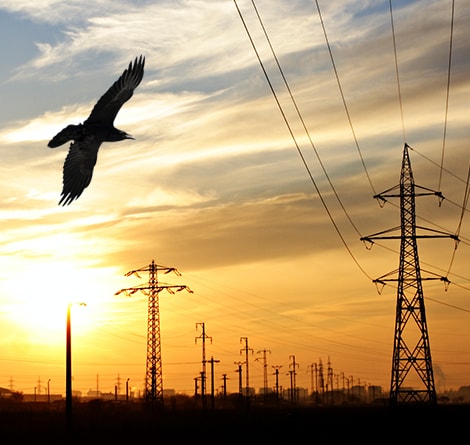 Powering Resilience: Hardening Strategies for Evolving Grids | TE ...