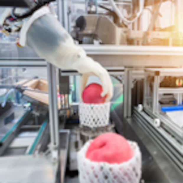 Sensors for Cobots and Robotics | TE Connectivity